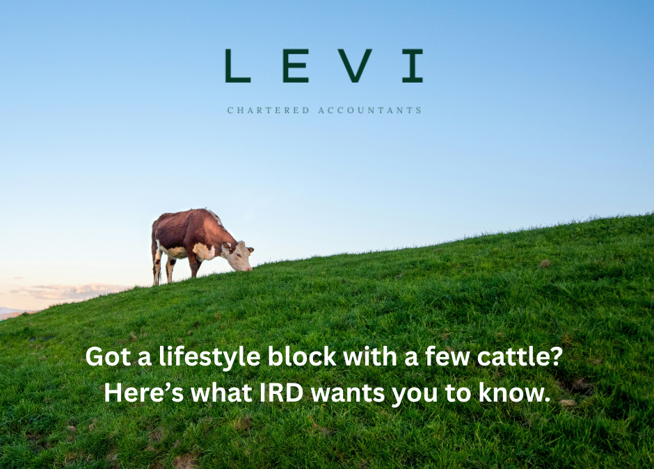 Got a lifestyle block with a few cattle? Here’s what IRD wants you to ...